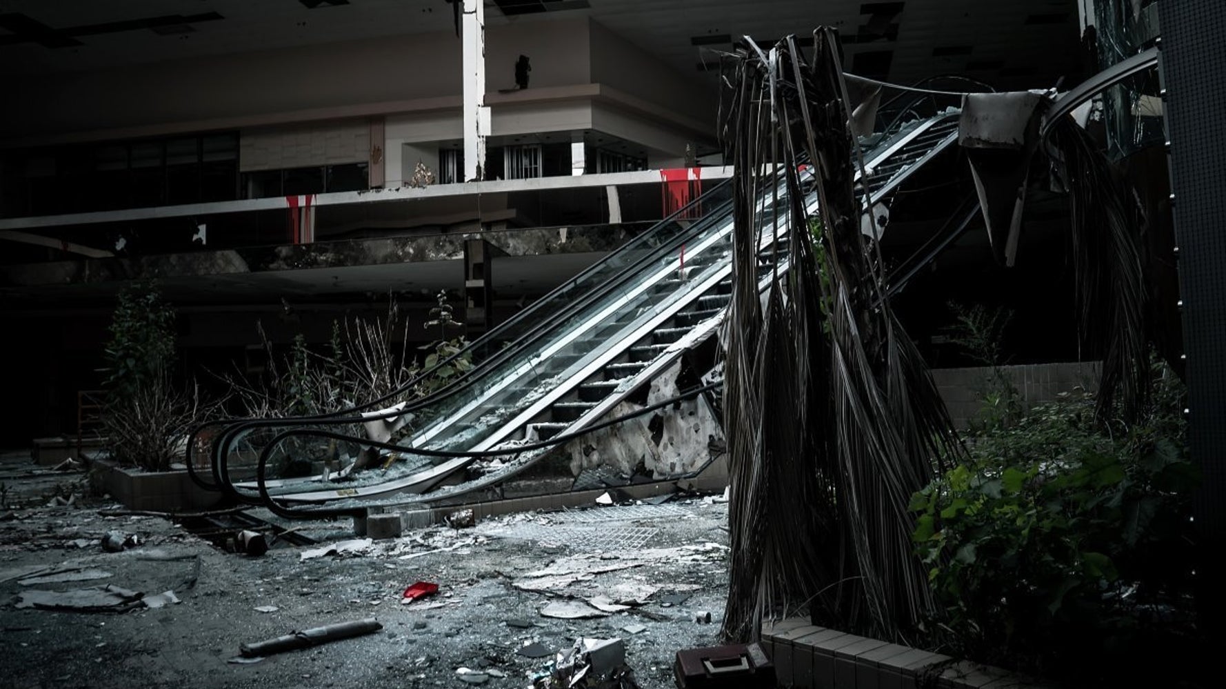 Death by Amazon is Greatly Exaggerated | HuffPost Contributor