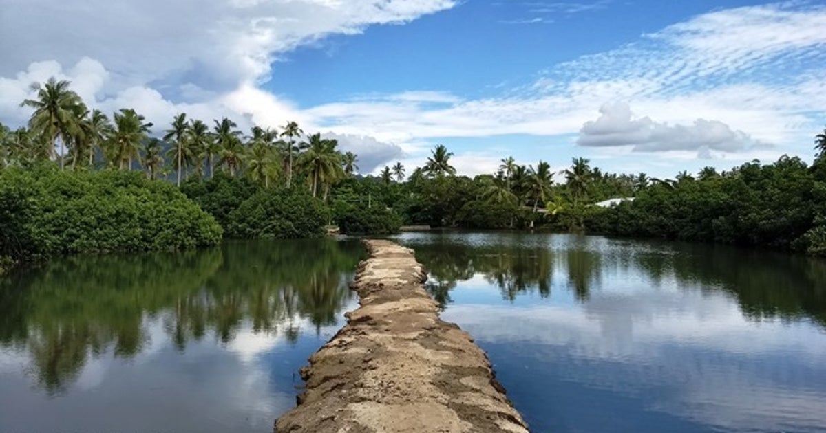 Mangroves and their value to Samoa | HuffPost Contributor