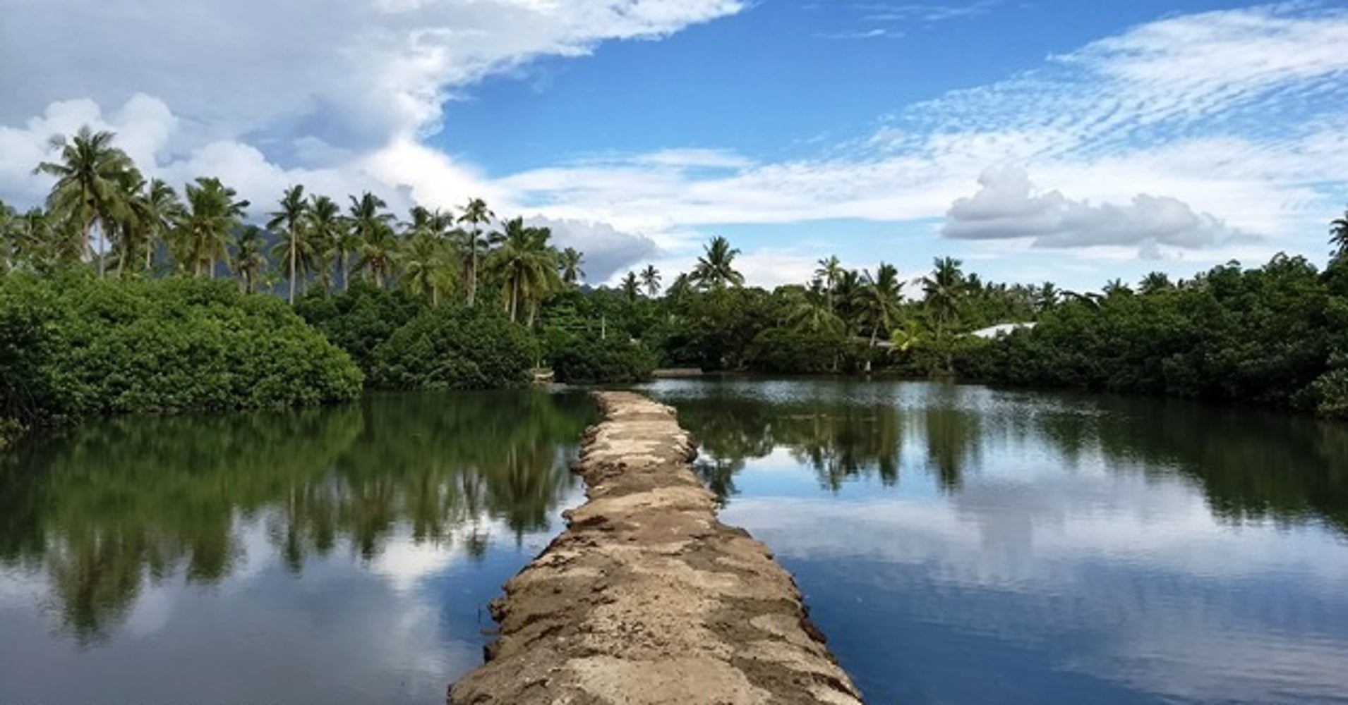 Mangroves and their value to Samoa | HuffPost