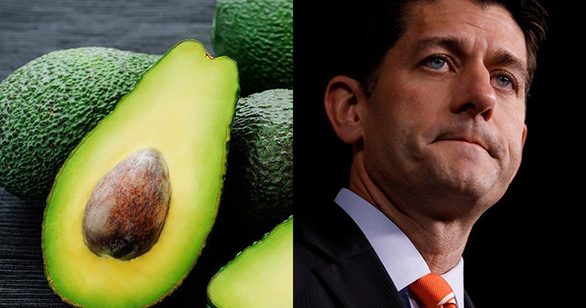 In A Popularity Contest Between Avocado And Our Top Politicians, This ...