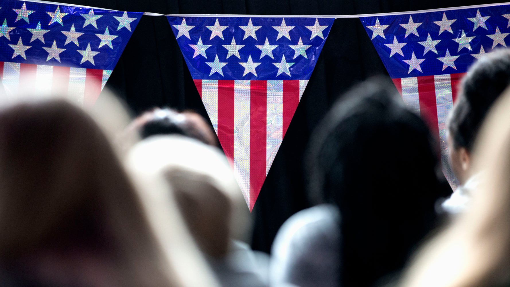 What are the Primary Goals of the Democratic Congressional Campaign ...