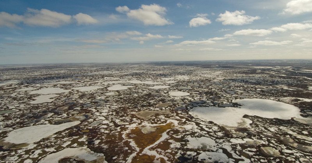 Climate Change Carries Great Risks, But New York Mag Story Goes Too Far ...