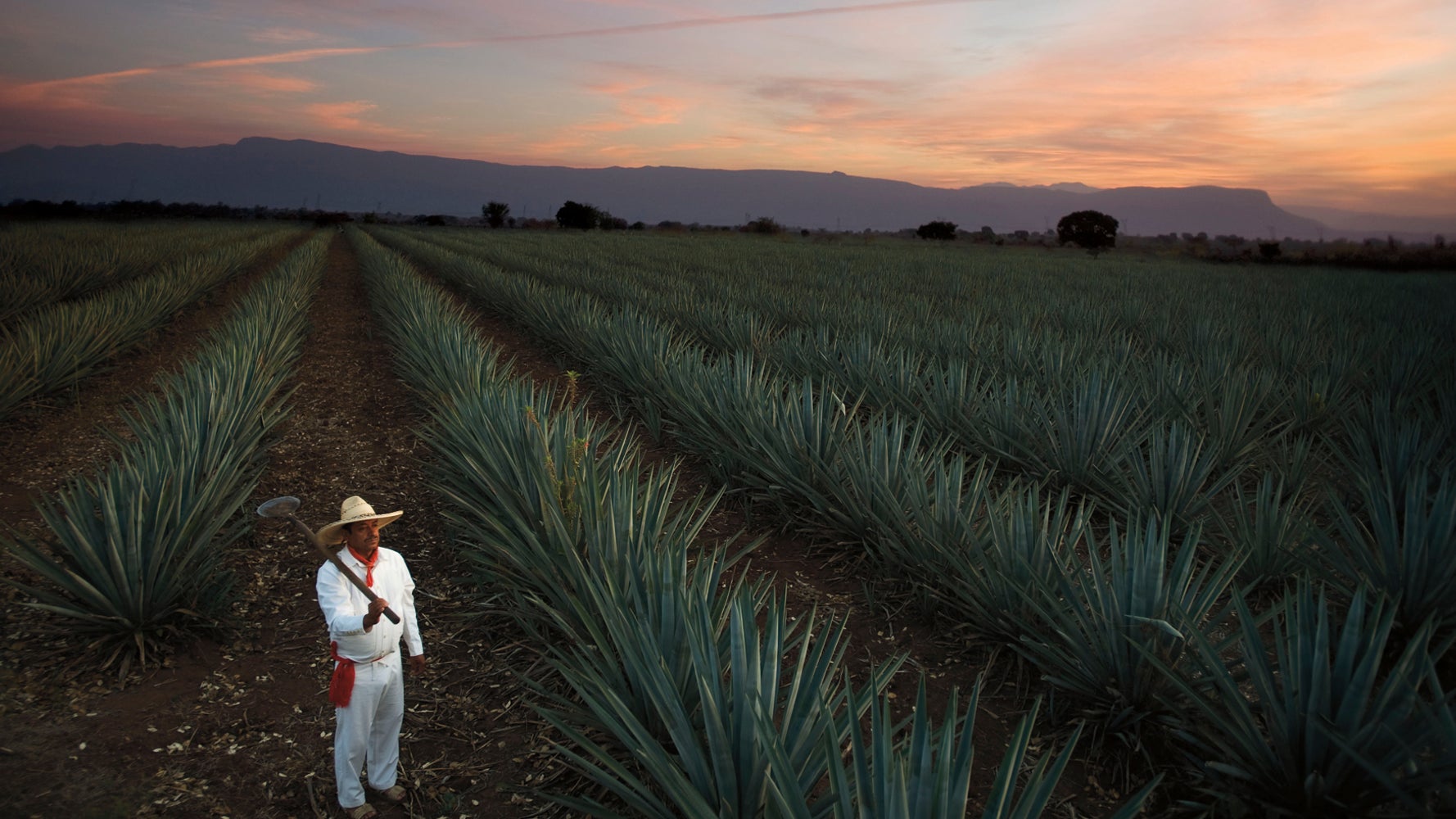Sauza: A Story of Family and Tequila | HuffPost Contributor