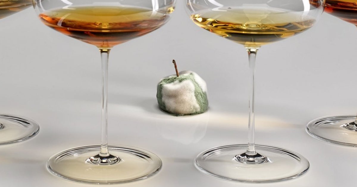 Mugaritz, One Of The World's Best Restaurants, Is Now Serving Moldy ...