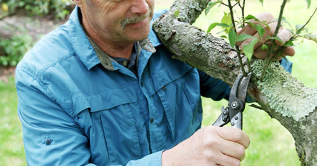 Must-Have Landscaping Tools, According to Roger Cook of This Old House ...