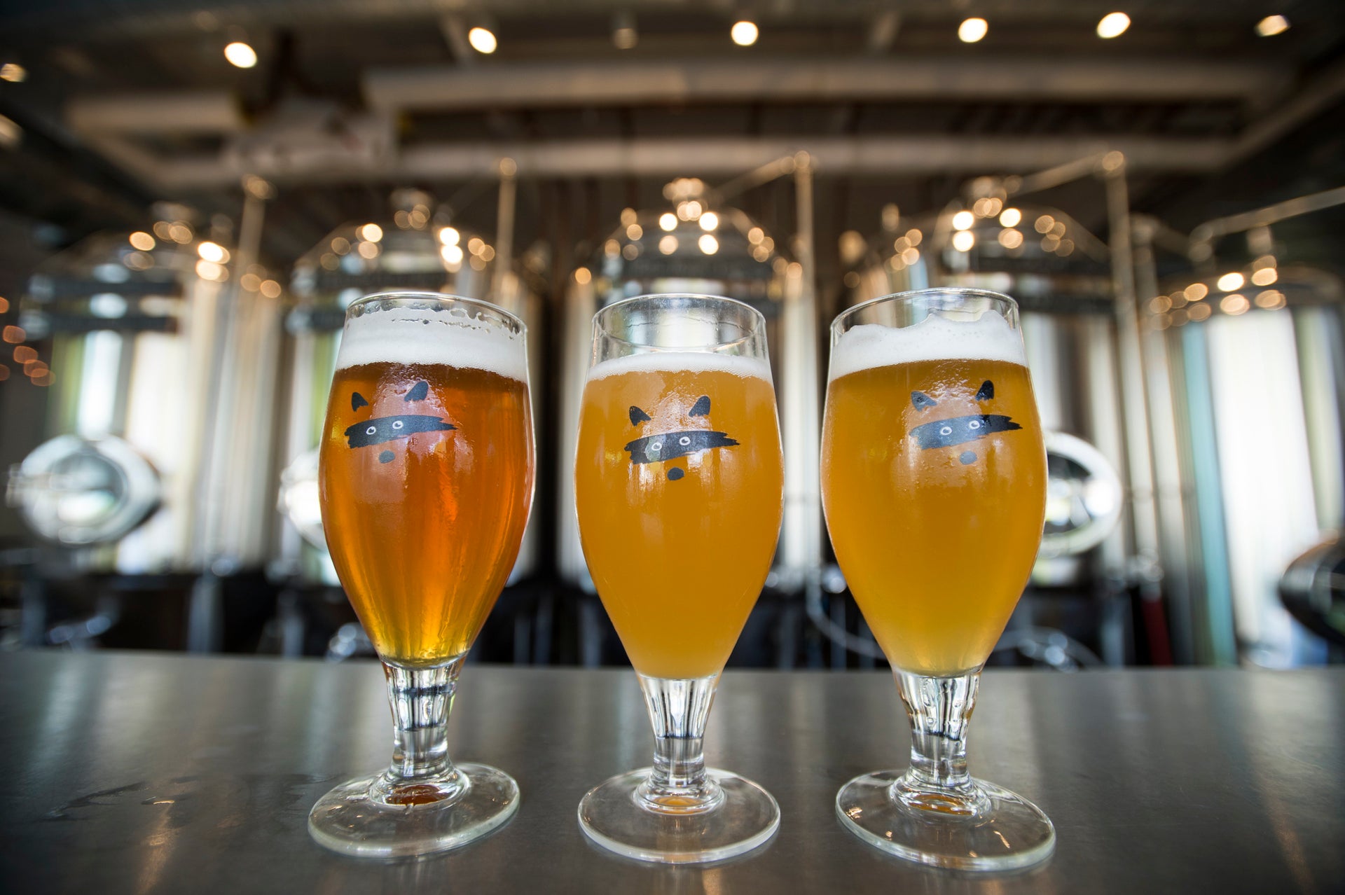 Beer Styles Explained, From IPA To Pilsner And Beyond | HuffPost Life