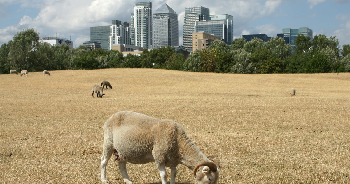 7 Reasons Why Your Kids Will Love Visiting A City Farm | HuffPost UK ...