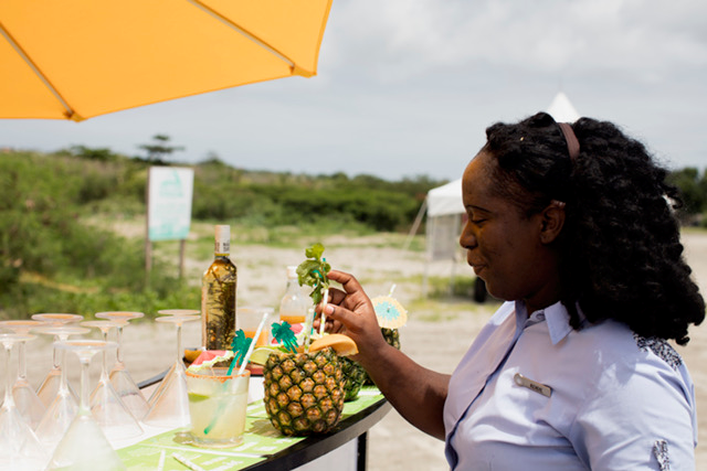 A Weekend Sipping Naked & Saving Sea Turtles | HuffPost Contributor