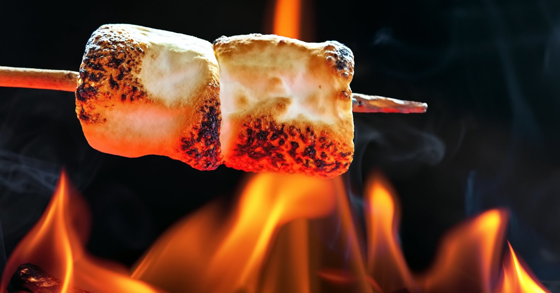 Marshmallows Are Actually Plants But Not In The Way You re Thinking marshmallows-are-actually-plants-but-not-in-the-way-you-re-thinking