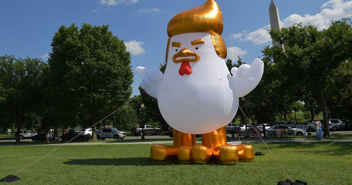 Monumental 'Trump Chicken' Roosts Near The White House | HuffPost ...