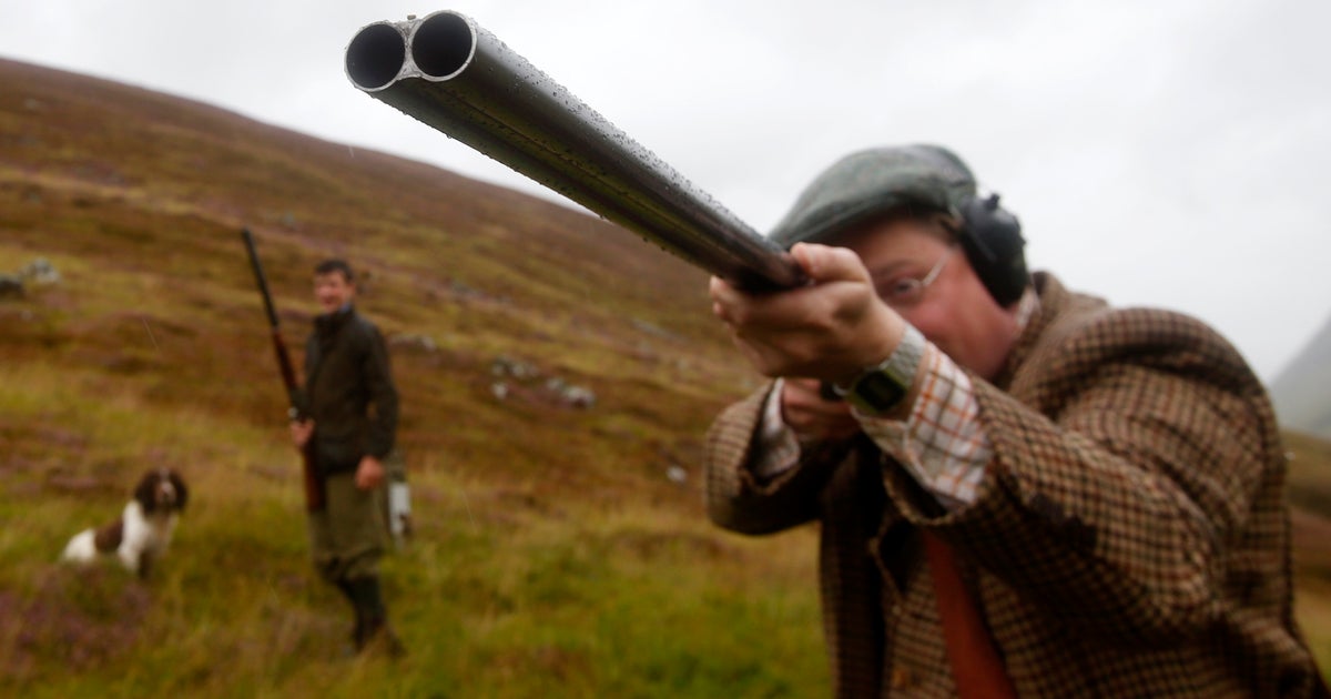 Glorious 12th: What Is It And Why Is Grouse Shooting So Controversial ...