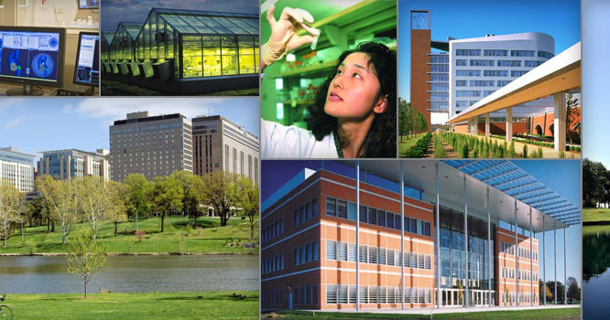 Led By BioSTL, St. Louis Bioscience Roadmap Paying Dividends | HuffPost ...