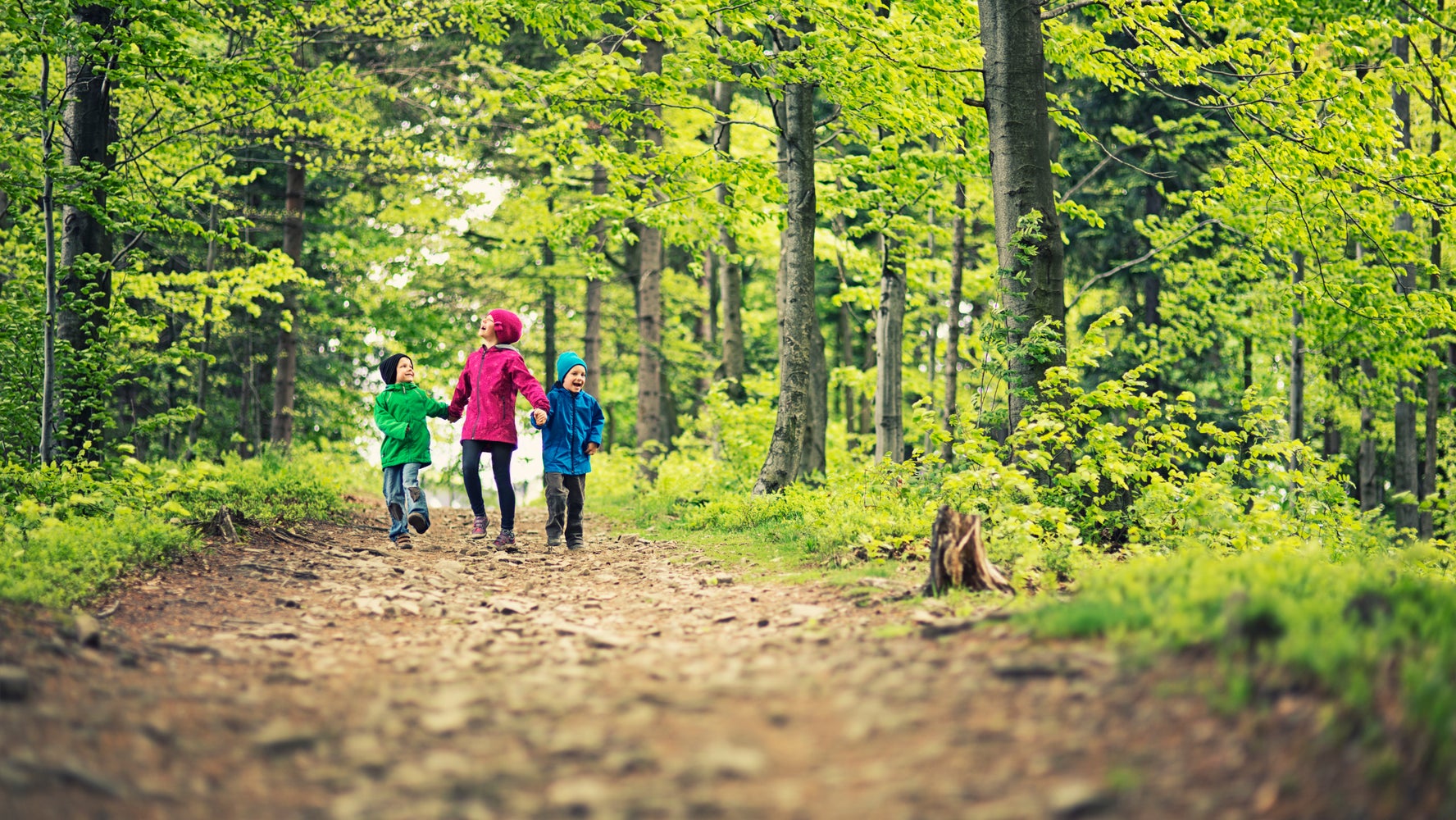 Connecting To The Natural World Is Important To Our Personal ...