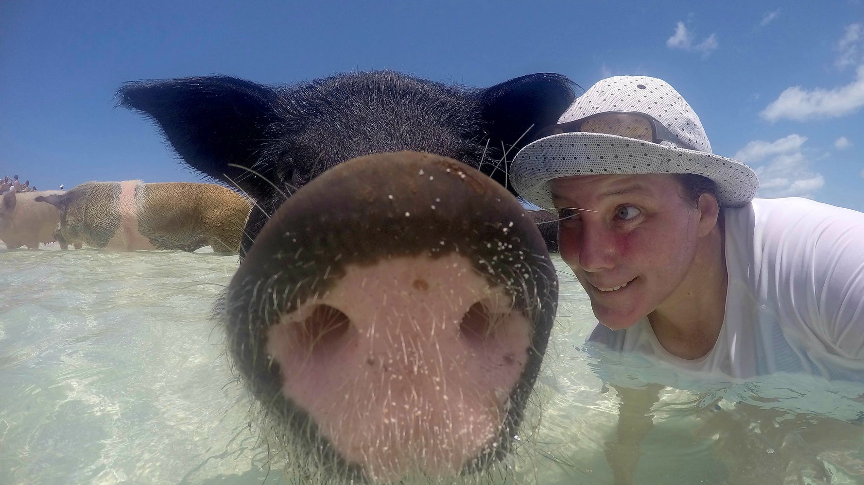 10 Unusual (And Ethical) Animal Encounters To Add To Your Bucket List ...