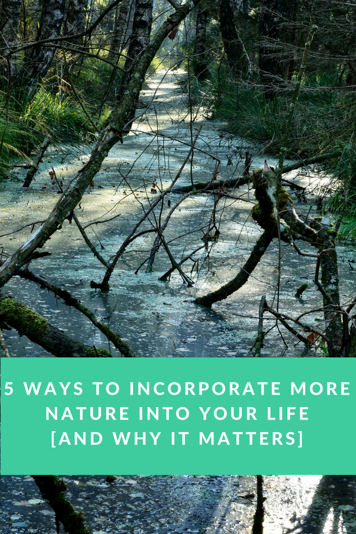 5 Ways to Incorporate More Nature Into Your Life (and Why it Matters ...