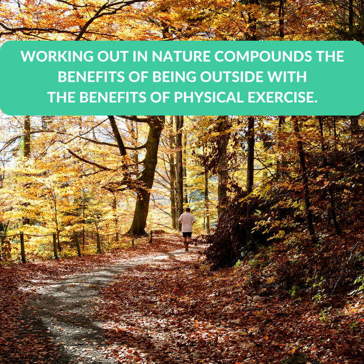 5 Ways to Incorporate More Nature Into Your Life (and Why it Matters ...