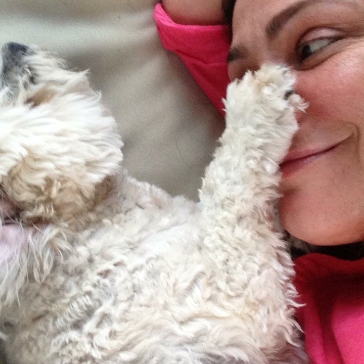 Pamper Your Best Pawed Friend on National Dog Day, August 26th ...