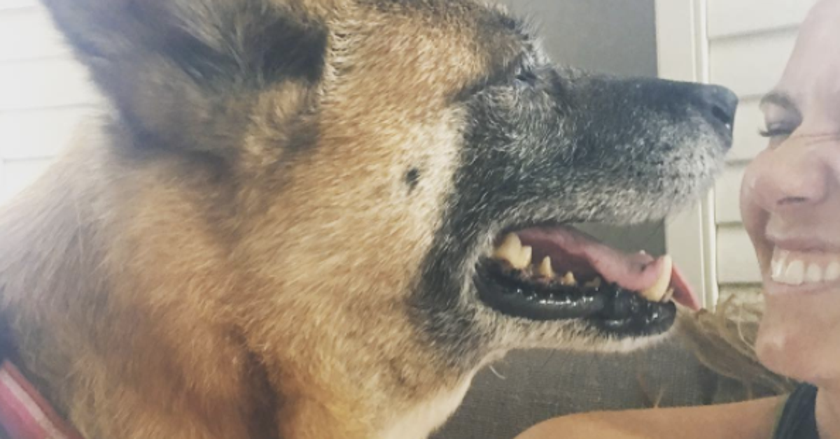 How adopting a dying dog changed everything. | HuffPost Contributor