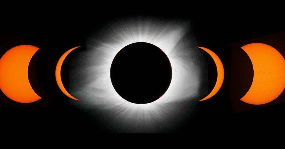 Our contempt for expertise (or, How to Be a Dolt in One Easy Step ...