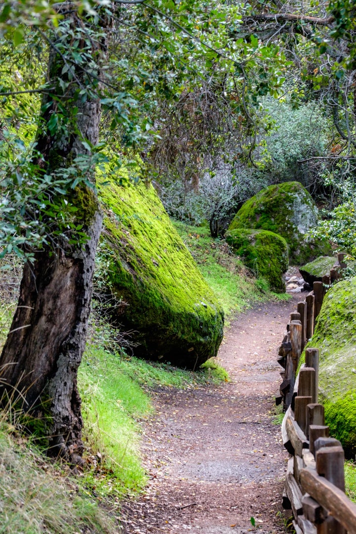 Exploring America's Newest National Park: Pinnacles in Central ...
