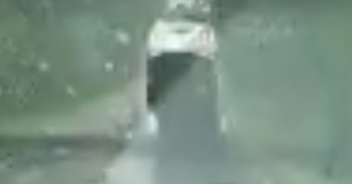 Falling Tree Misses Car In The Scariest Close Call You May Ever See ...