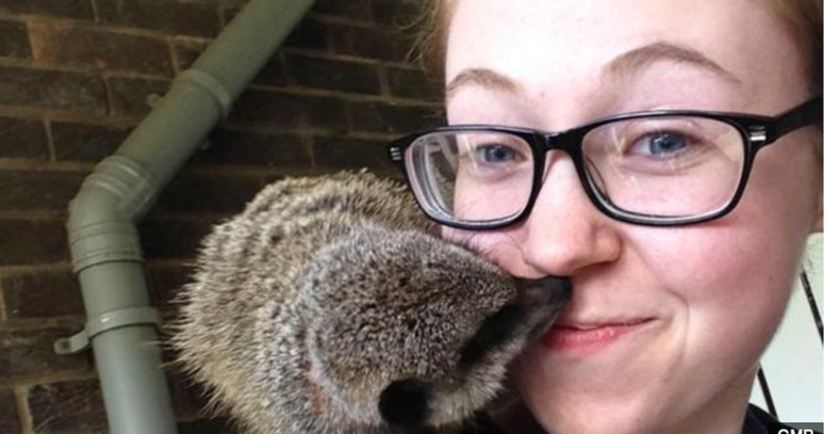 Ellen Higginbottom Murder: Mark Buckley Sentenced To 31 Years In Prison ...