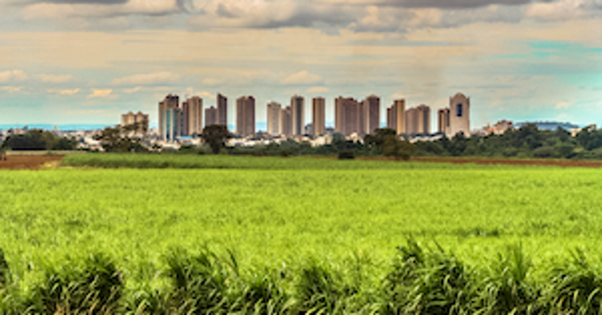 How Modern Life Became Disconnected from Nature | HuffPost Contributor