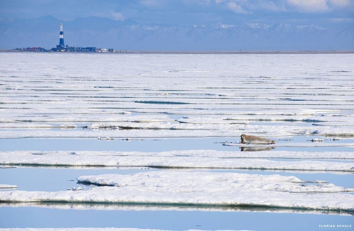 The Arctic: What’s at Stake | HuffPost Contributor