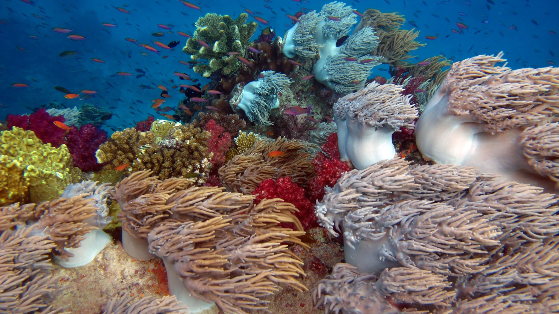 We Look to the Ocean for Life | HuffPost Contributor