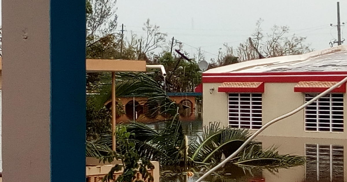 I Survived Hurricane Maria Thanks Only To The Kindness Of Strangers ...