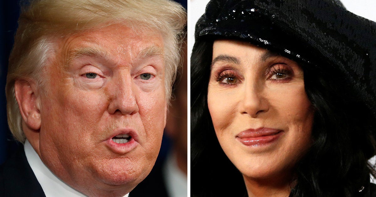 Cher Taunts Donald Trump Who 'Doesn’t Have 2 Brain Cells To Rub ...