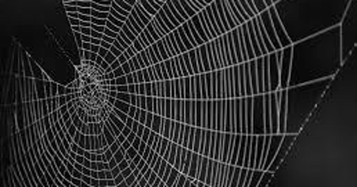 Louisiana Has A Five-Year-Old 'Parent Trigger' Law That No Parent Has ...