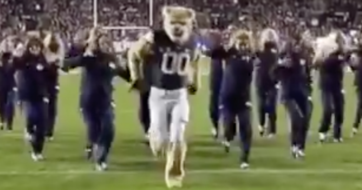 This BYU Cougar Mascot Dances So Hard It Will Leave You Shook ...