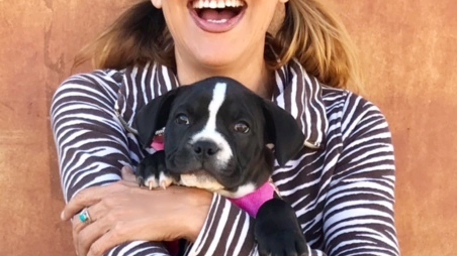 Animal Hero: The Pit Bull Princess | HuffPost