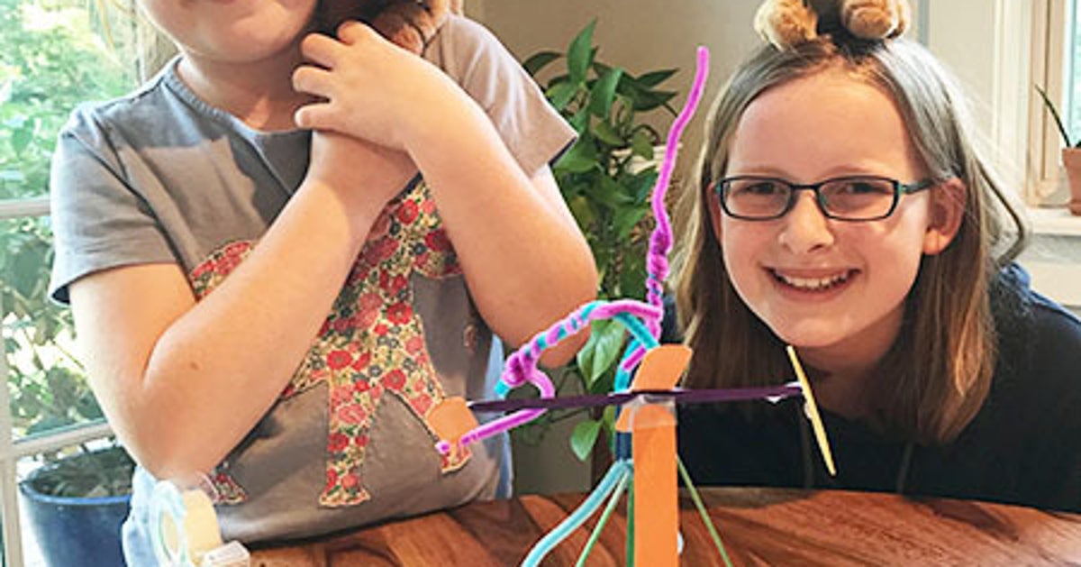 Connecting the Dots of Conservation Using Pipe Cleaners and Popsicle ...