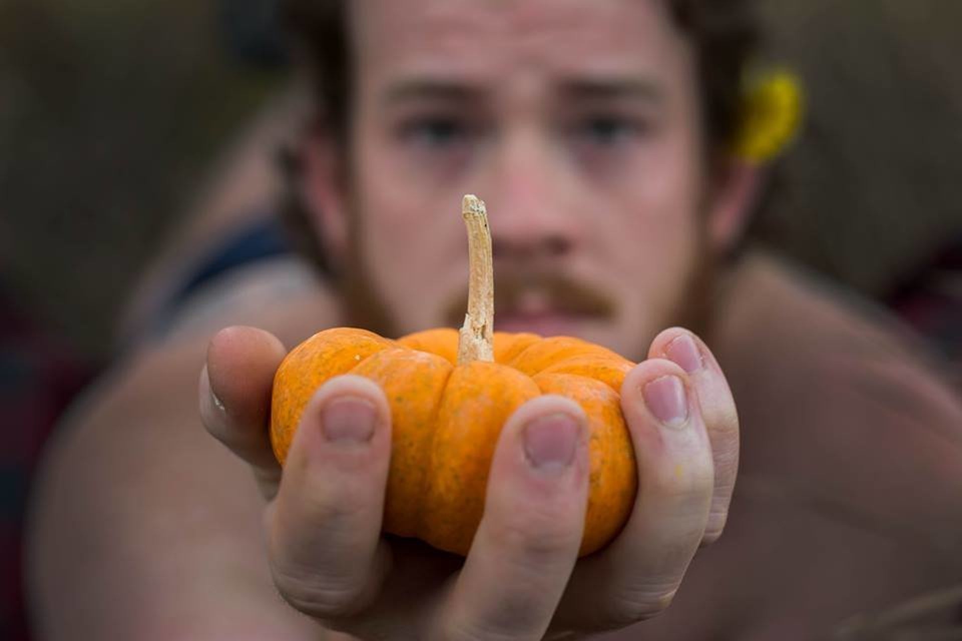 This Man Dropped Pumpkin-Filled Dudeoir Pics Just In Time For Halloween ...