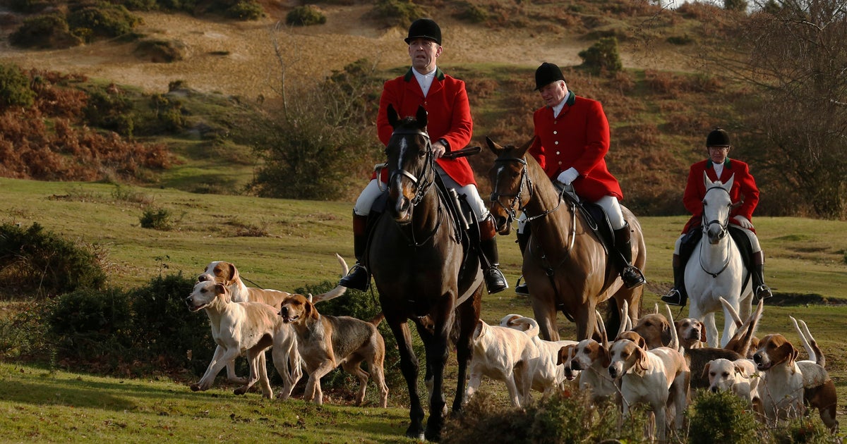 National Trust Trail Hunting: Anti-Hunt Activists Lose Historic Vote ...
