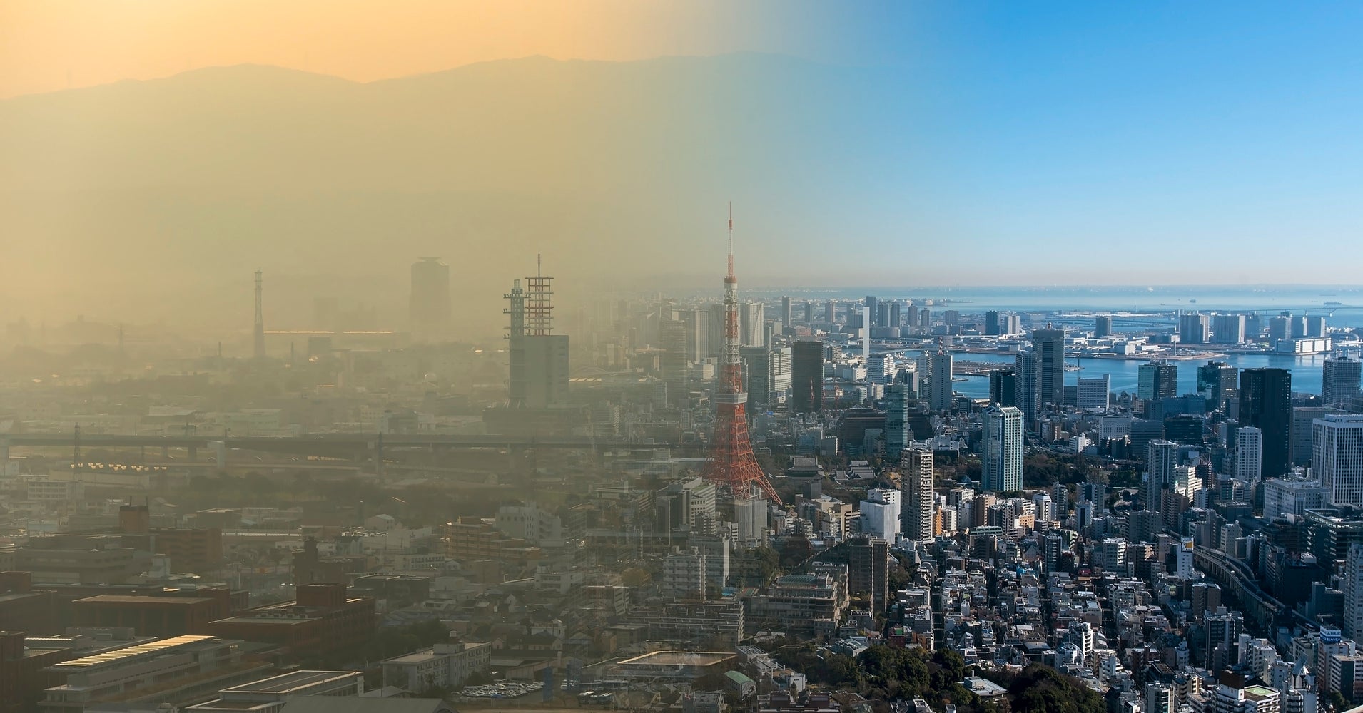 Air Pollution Kills Millions Each Year. Here's How Cities Can Fight It ...