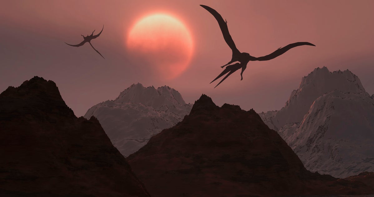 A Terrifying Flying Predator The Size Of A Plane Has Been Discovered ...