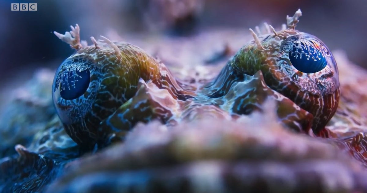 Blue Planet 2: What It's Like To Discover 'Alien' Creatures And Pilot A ...