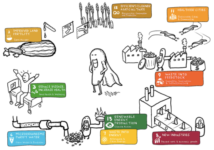 5 Ways to Reach the Sustainable Development Goals Through Your ...