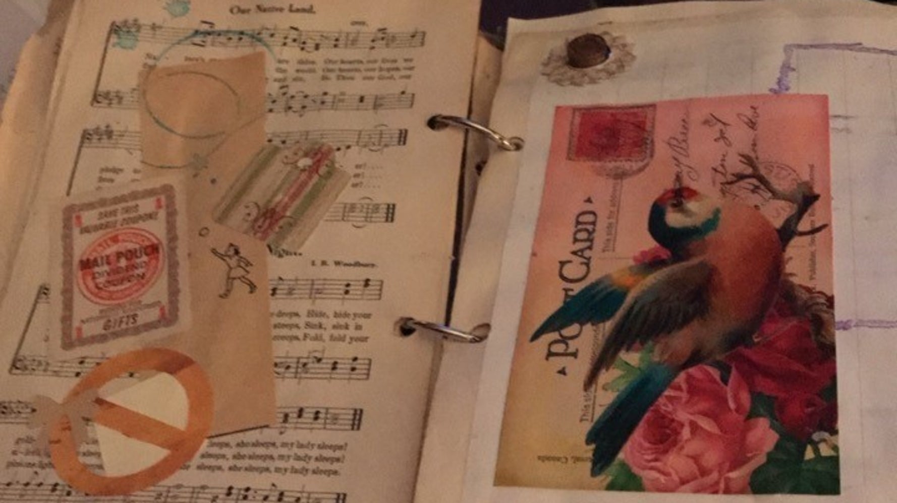 The Role of Art and Activities as Emotional Armor for Social Anxiety ...