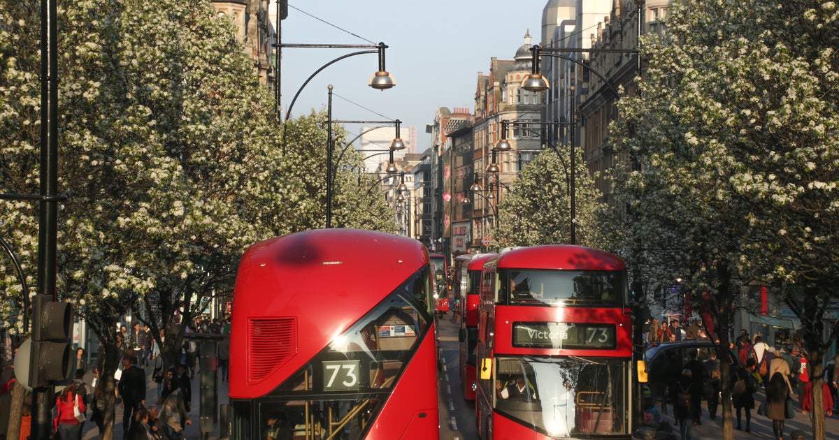 Trees Can Fight Air Pollution And Reduce Asthma Attacks In Urban Areas ...