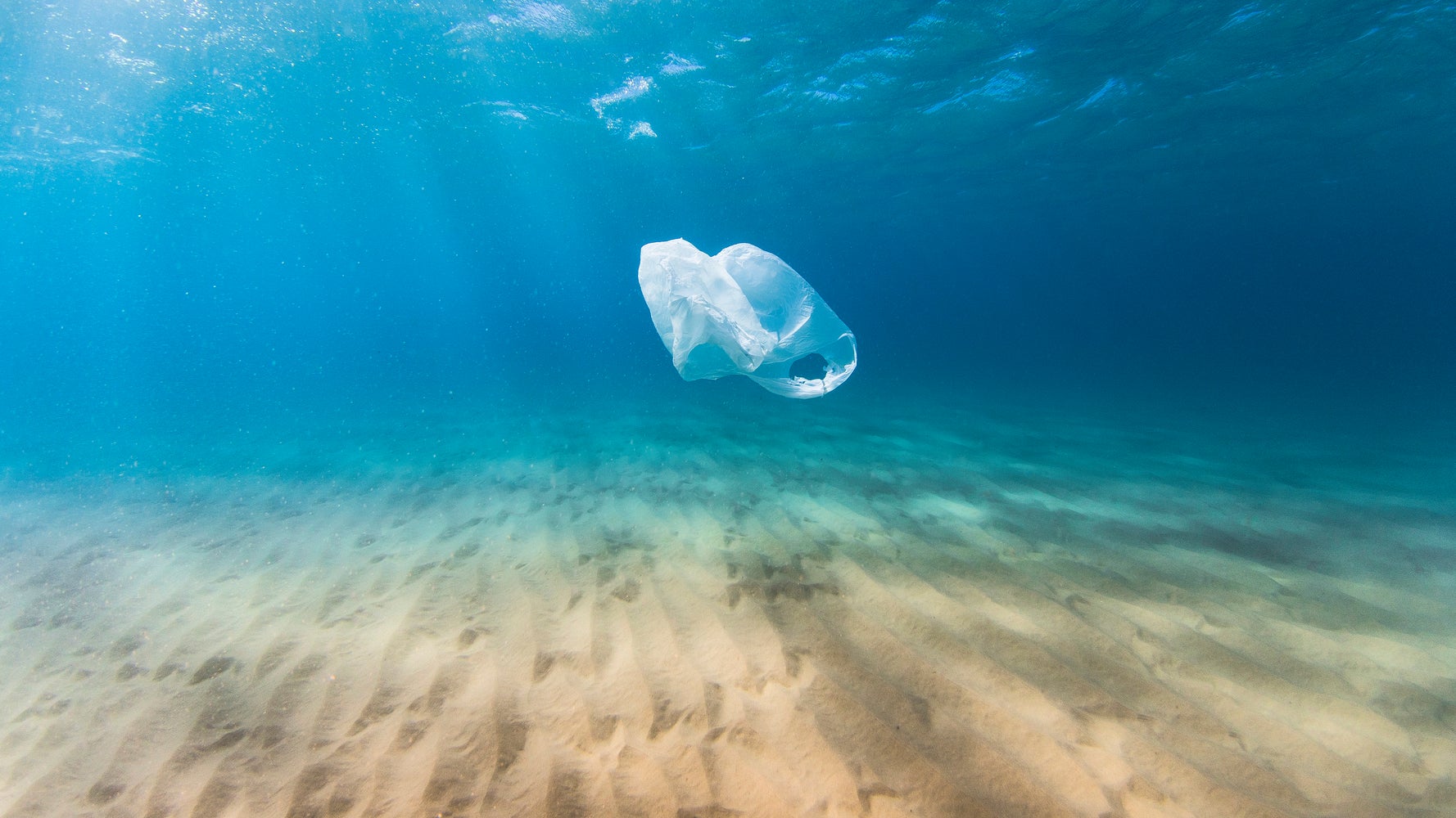 Blue Planet Made You Feel Guilty About Plastic Pollution? These ...