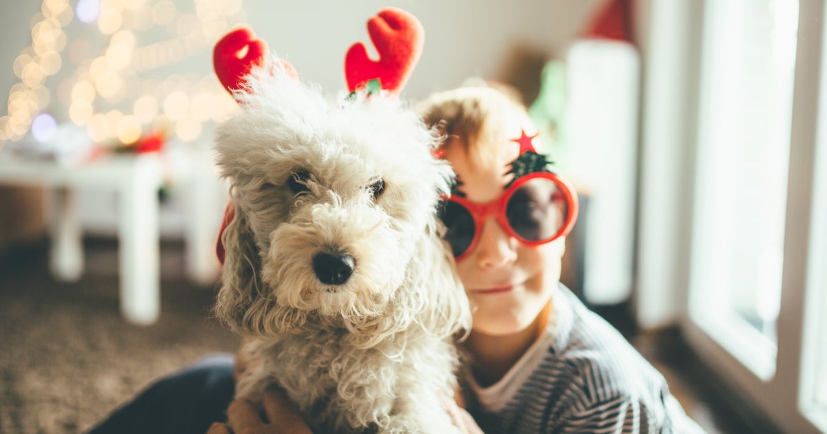 13 Things You Only Know If You Feel Festive Months Before Christmas ...