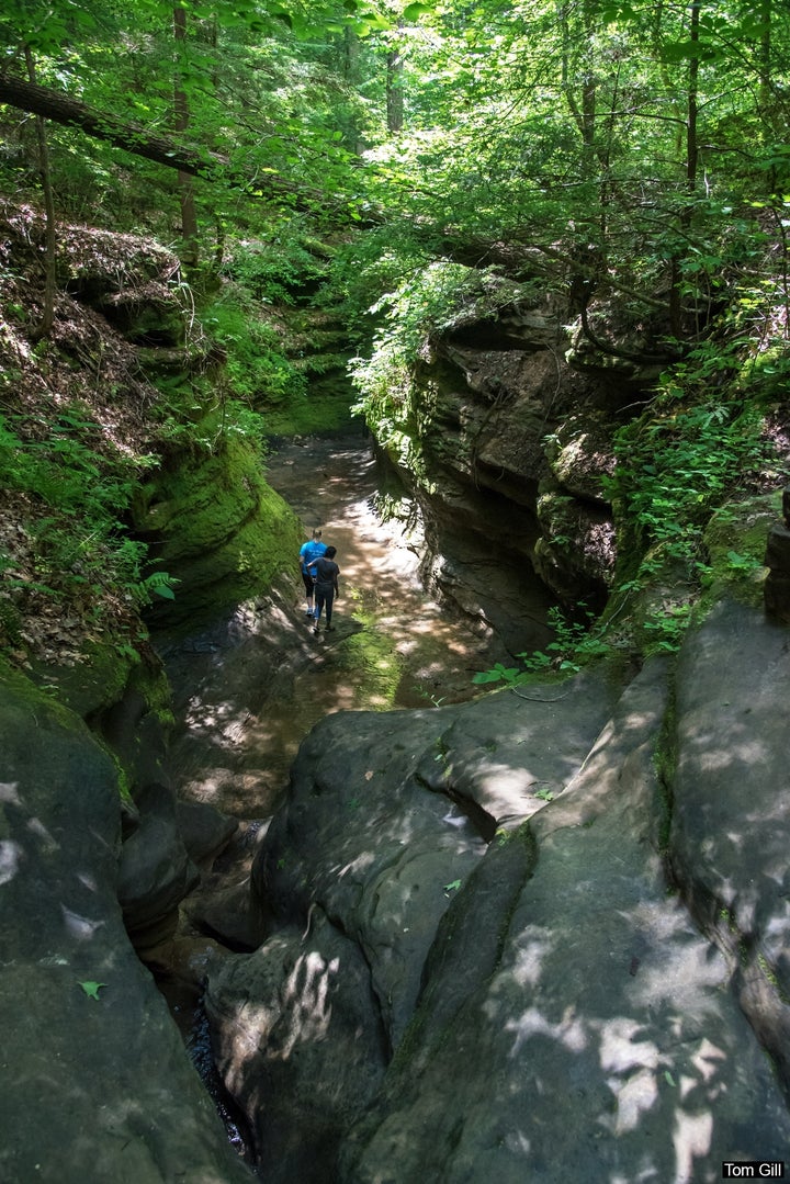 Turkey Run State Park: A Walk Through Geologic History (part 1 ...
