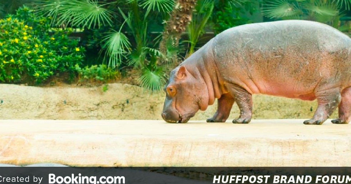 The Best Zoos Around The World -- And Where To Stay Nearby | HuffPost Life