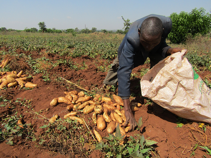 Bridging the information gap for rural communities in Malawi | HuffPost ...