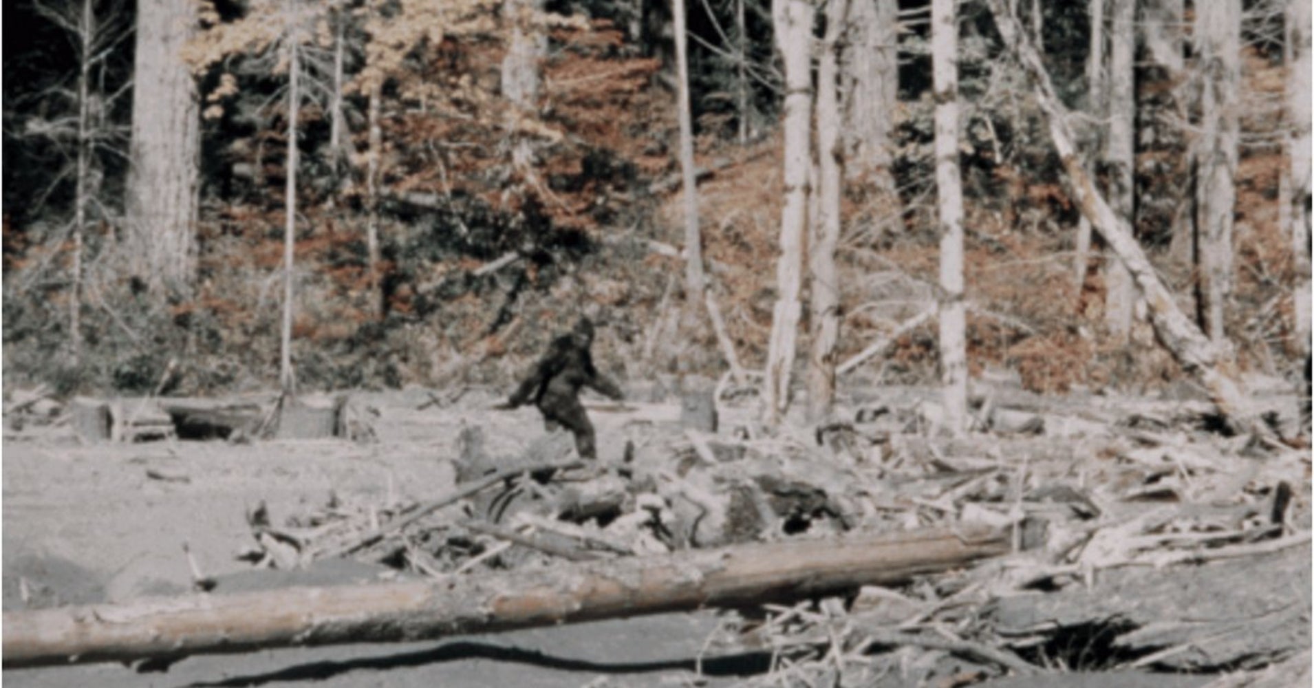 The Patterson-Gimlin Film 50th Anniversary Celebration | HuffPost