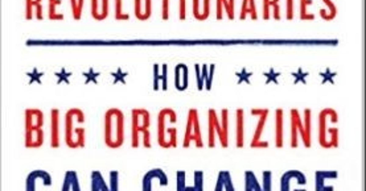 Improving the Revolution: Big Organizing Meets Learning Organization ...